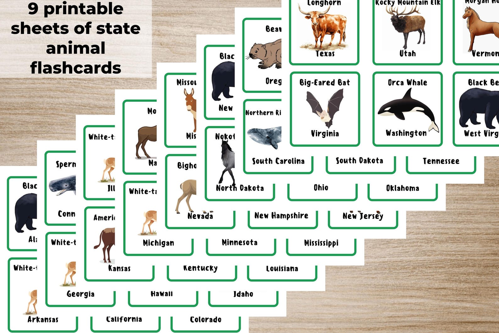50 US State Animal Flashcards | Learn the Animals of the United States ...