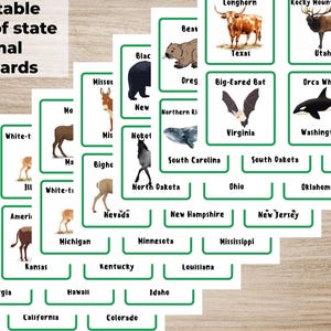 50 US State Animal Flashcards | Learn the Animals of the United States ...