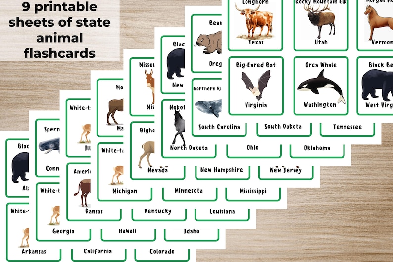 50 US State Animal Flashcards | Learn the Animals of the United States ...