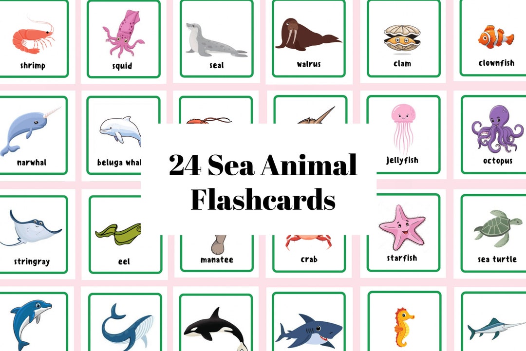 Sea Animal Sight Word Flashcards Kindergarten, Elementary School Summer ...