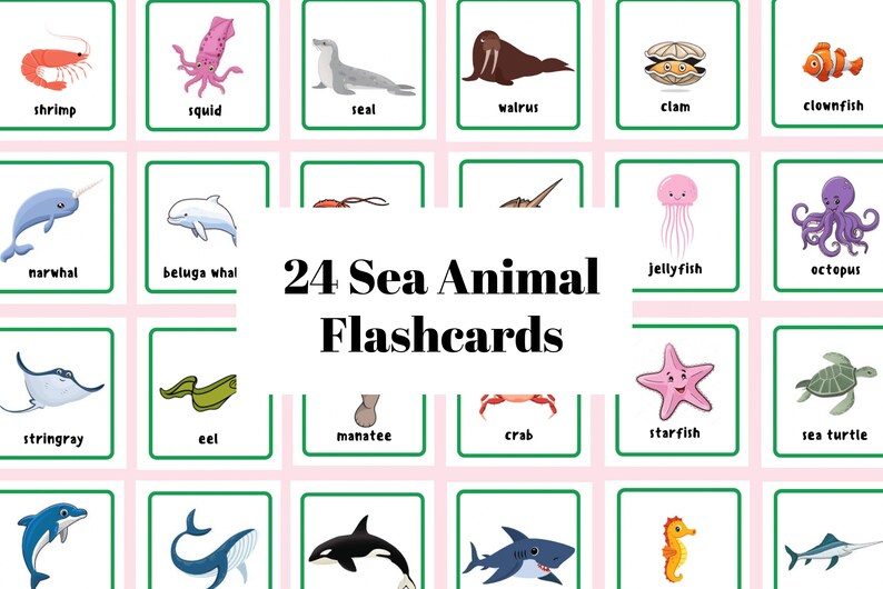 Sea Animal Flashcards Kindergarten, Elementary School Summer Learning ...