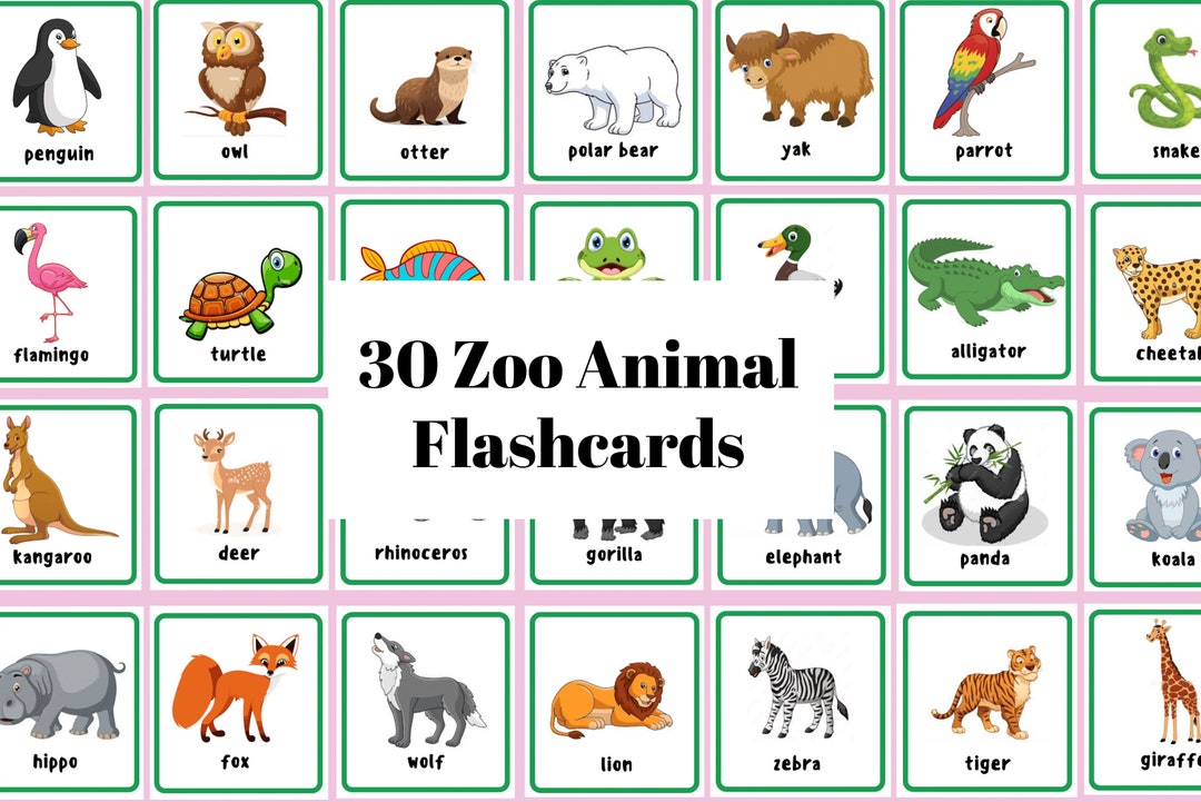 Zoo Animals Sight Word Flashcards | Kindergarten, Elementary School ...