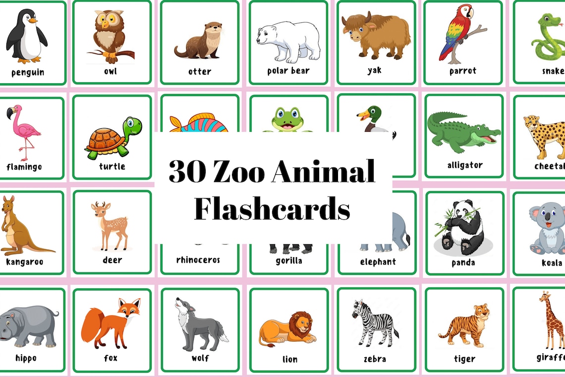 Zoo Animals Sight Word Flashcards | Kindergarten, Elementary School ...
