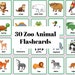 Zoo Animals Sight Word Flashcards | Kindergarten, Elementary School ...