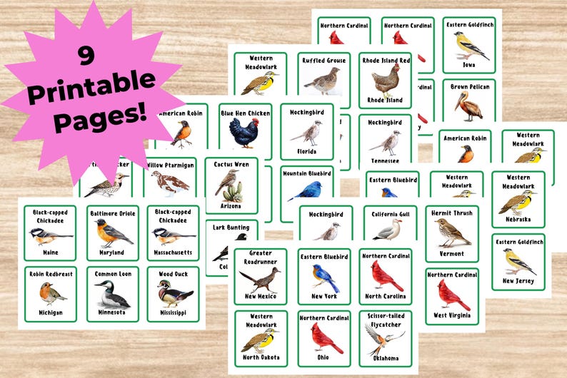 50 US State Bird Flashcards | Learn the Birds of the United States of ...