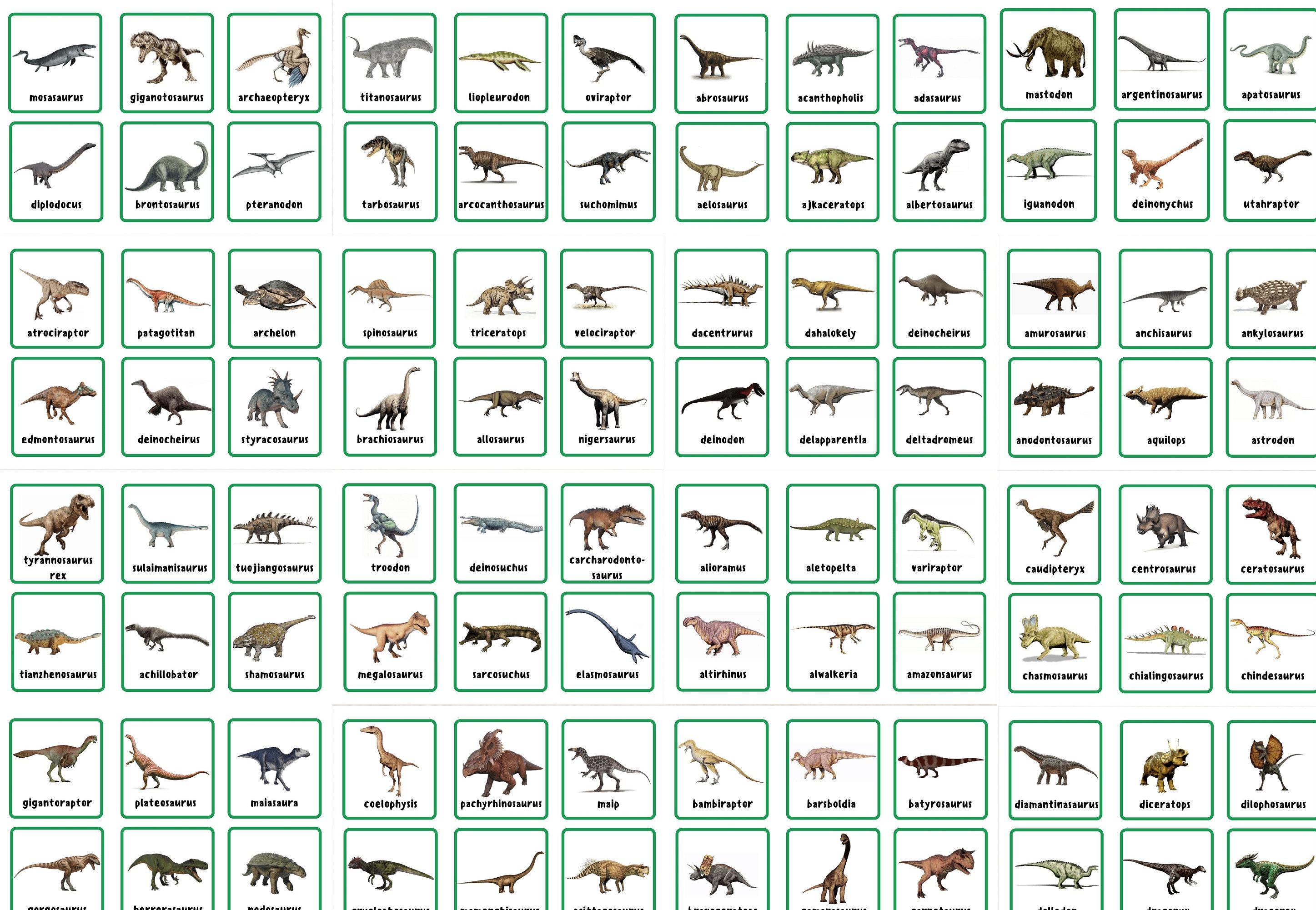 200+ Dinosaur Flashcards | Learn the Dinosaurs | Picture/word ...