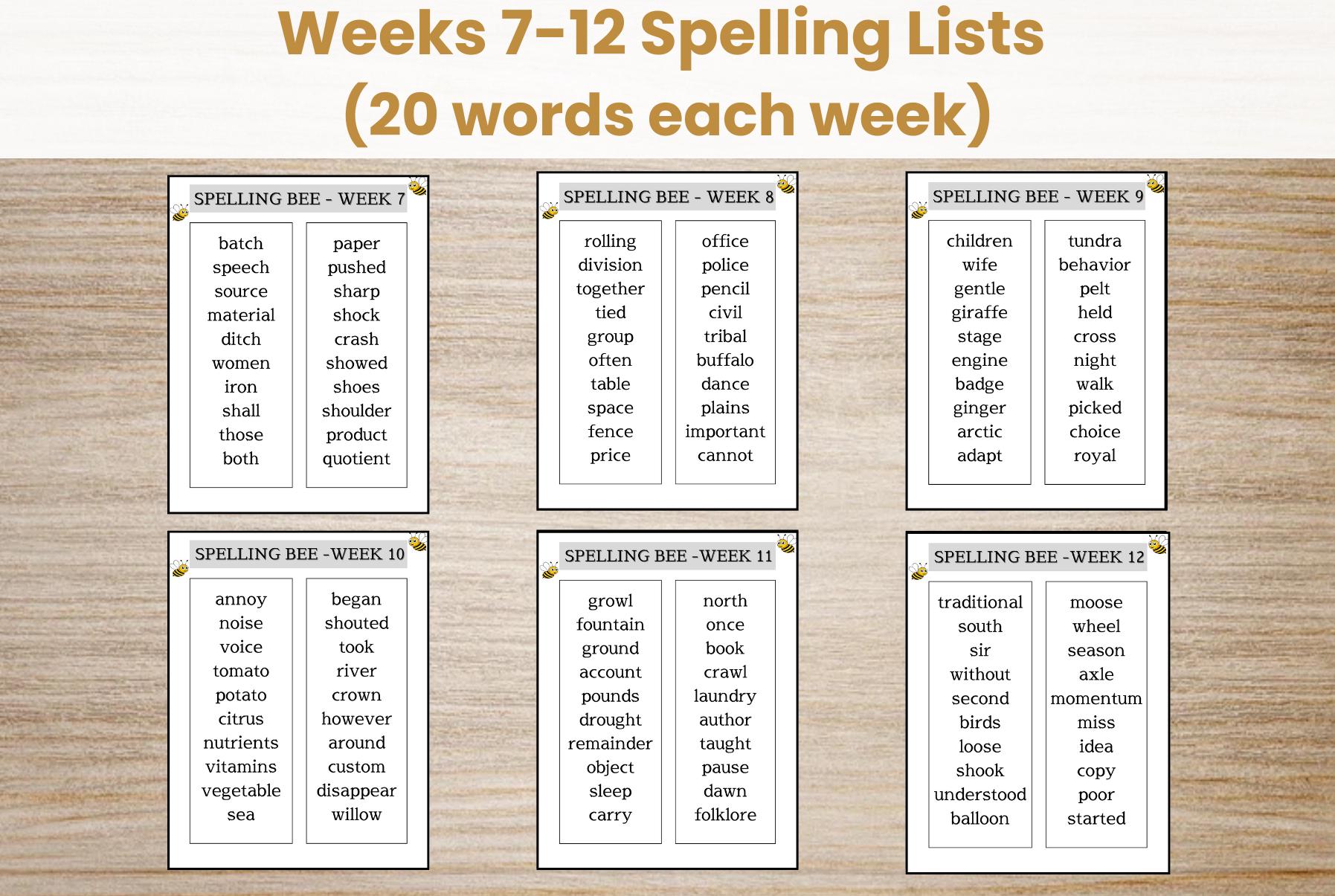 3rd Grade Spelling Worksheets and Flashcards | 3rd Grade Spelling ...