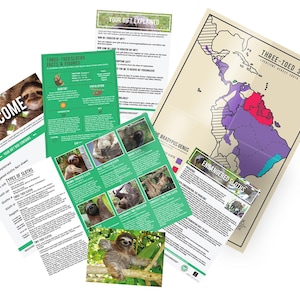 Adopt a Sloth Gift Tin: Unique Conservation Gift Pack - Etsy UK