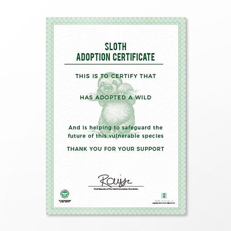 Adopt a Sloth Gift Tin: Unique Conservation Gift Pack - Etsy UK