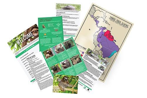 Adopt a Sloth Gift Tin: Unique Conservation Gift Pack - Etsy UK