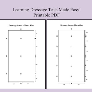Dressage Arena Templates - Etsy
