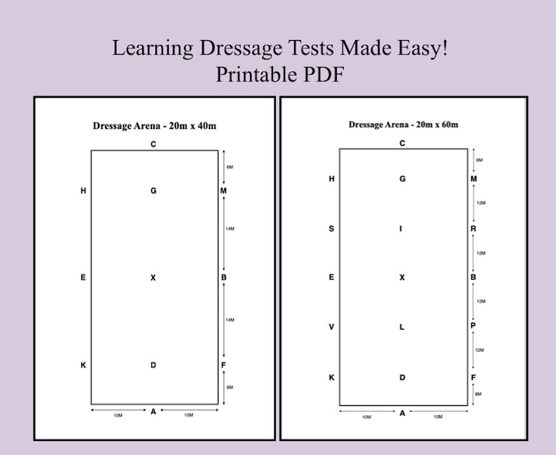 Dressage Arena Templates - Etsy