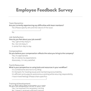 Employee Feedback Survey (printable, Customizable & Editable) - Etsy