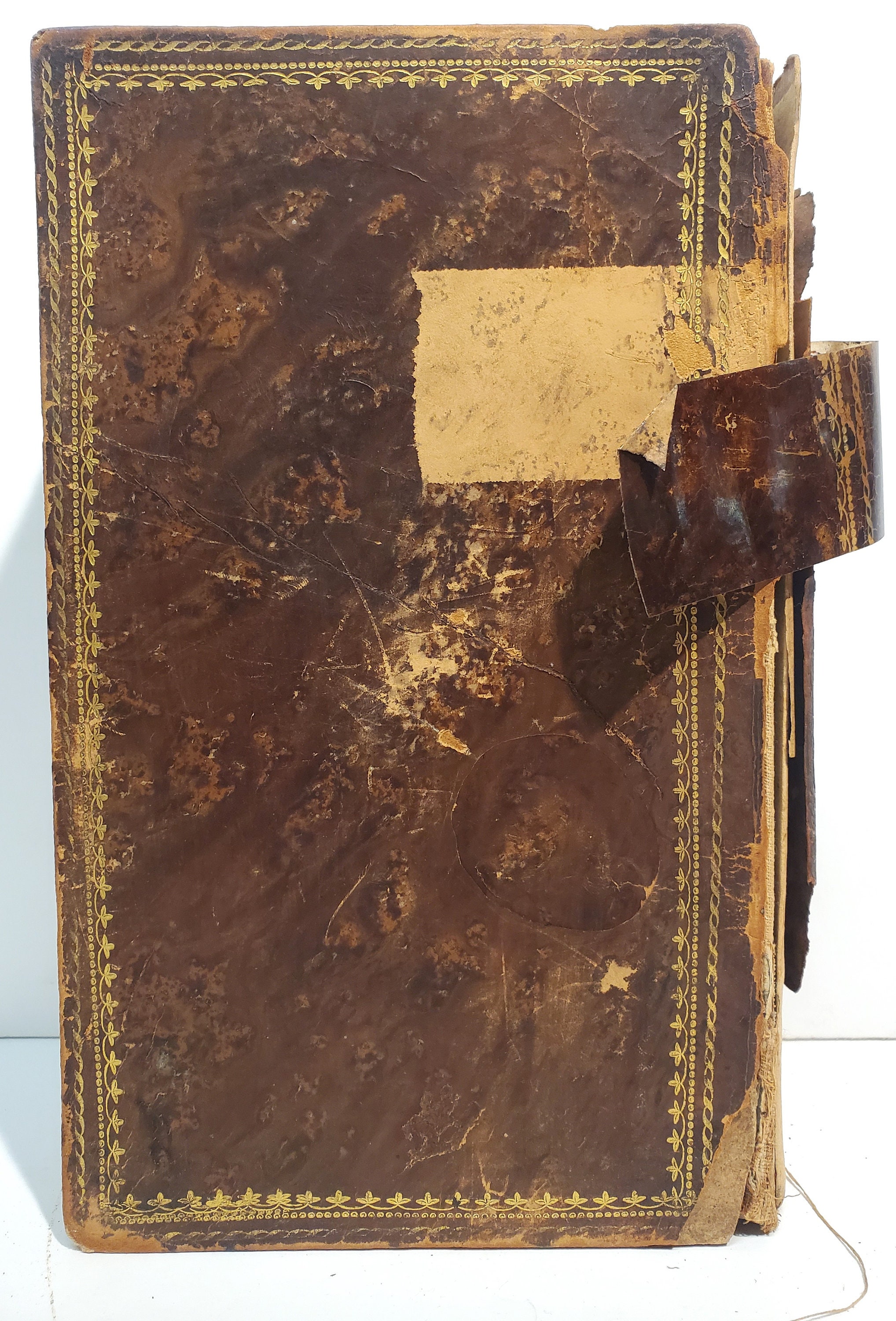 George Crabbe's English Synonymes 1819 1st American Edition Charles ...
