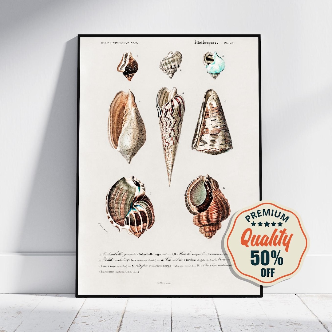 Vintage Fine Art Poster - A4, A1...20x30 Inch... Different Types of ...