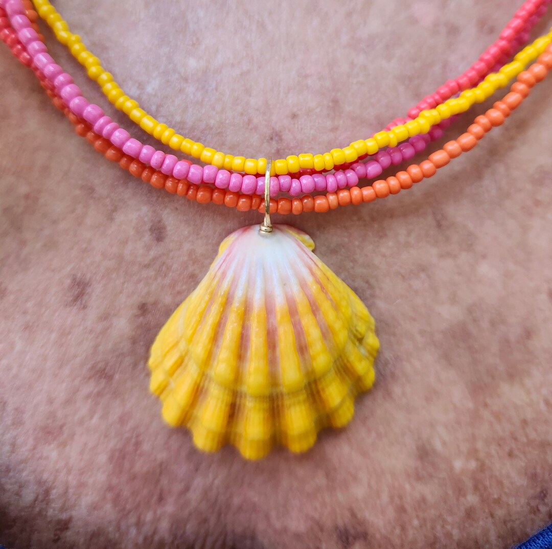 Wear a Sunrise: Beautiful Extra-large shell 35mmx35mm Genuine Hawaiian ...