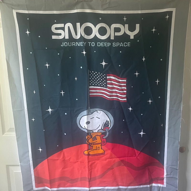 Snoopy Panel - Etsy