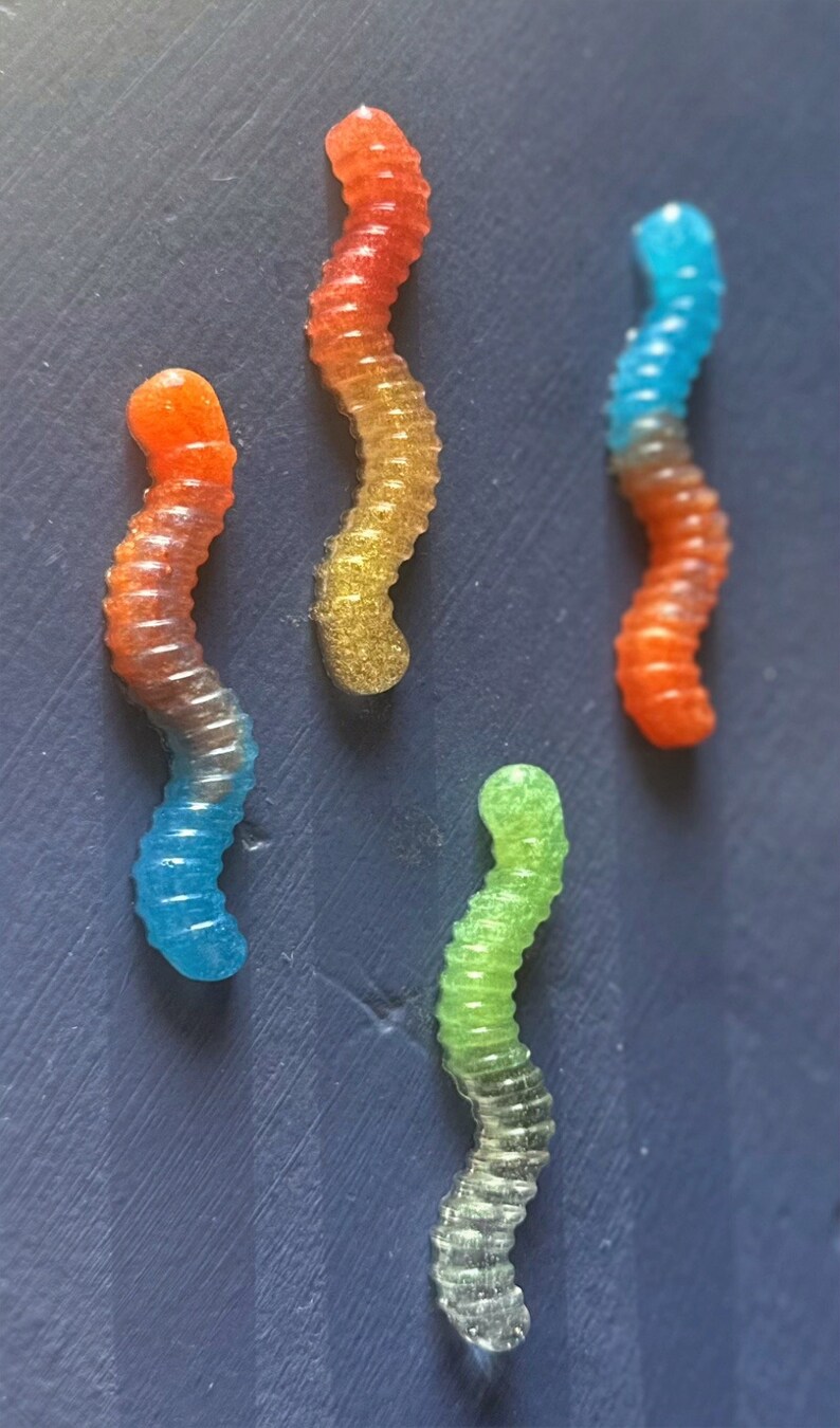 Gummy Worm Fridge Magnet Sets - Etsy