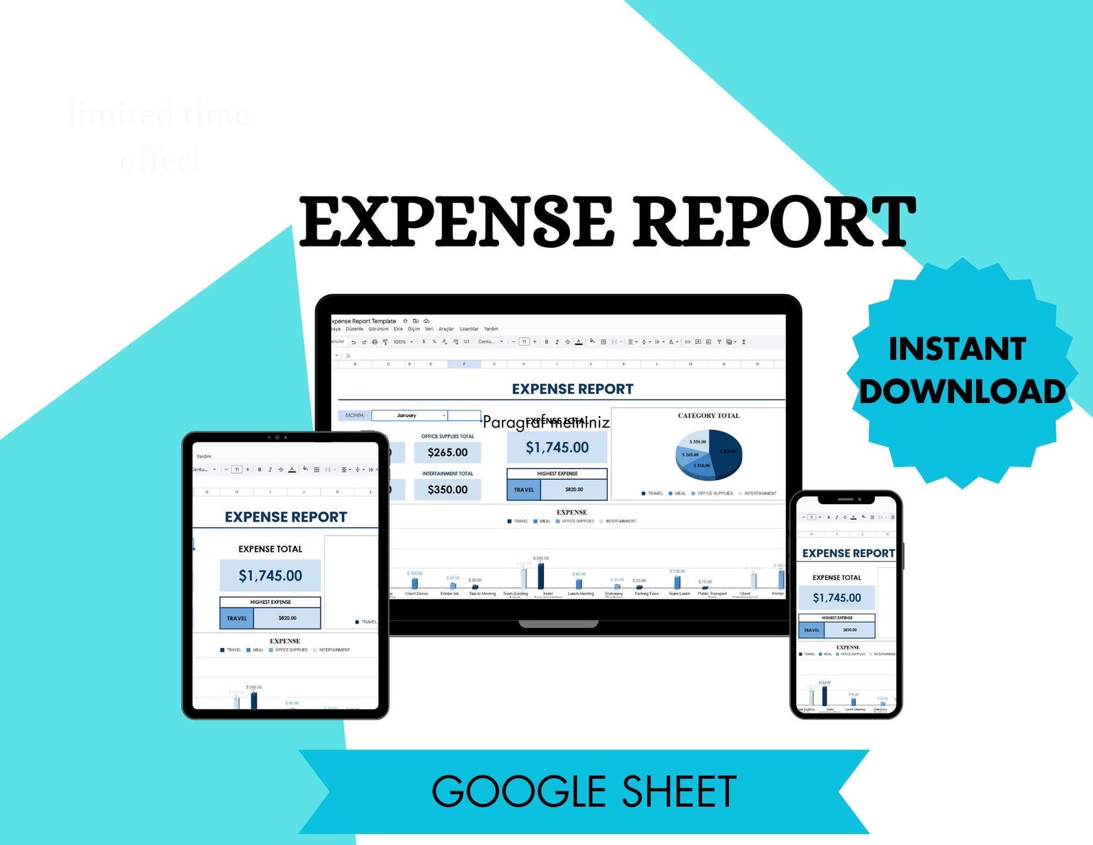 Expense Report, Google Sheets Template for Business and Personal Budget ...