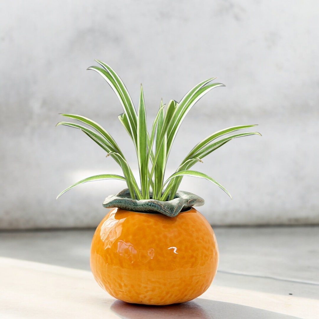 Orange Shaped Ceramic Vase Fruit Inspired Home Decoration Small ...