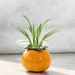 Orange Shaped Ceramic Vase Fruit Inspired Home Decoration Small ...