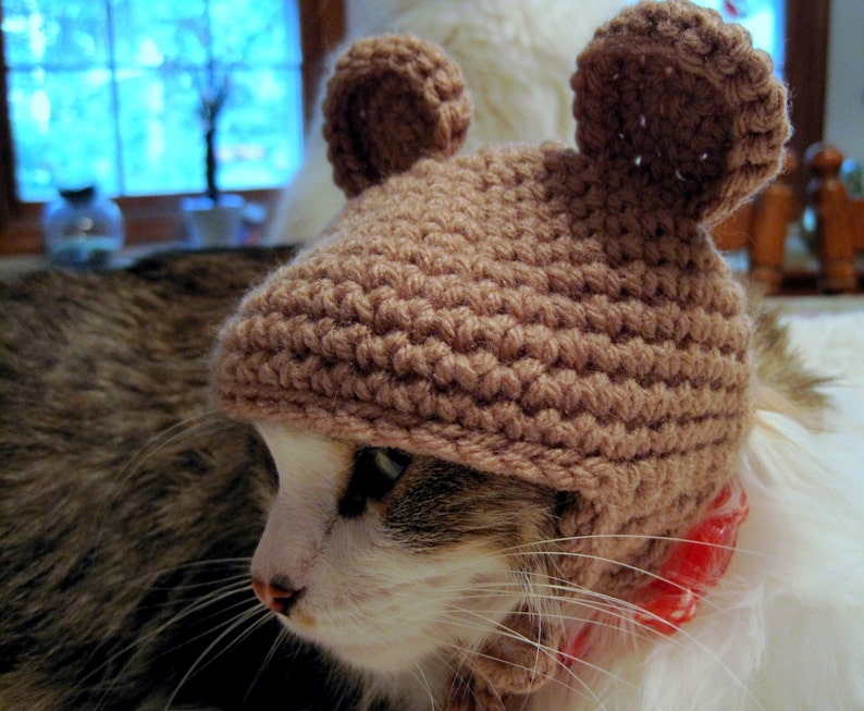 Pet Costume Pet Hat Hat for Cats Cat Clothing Pet | Etsy