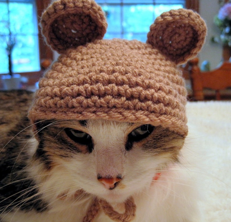 Haustier Kostüm Haustier Hut Hut für Katzen Katze Kleidung | Etsy