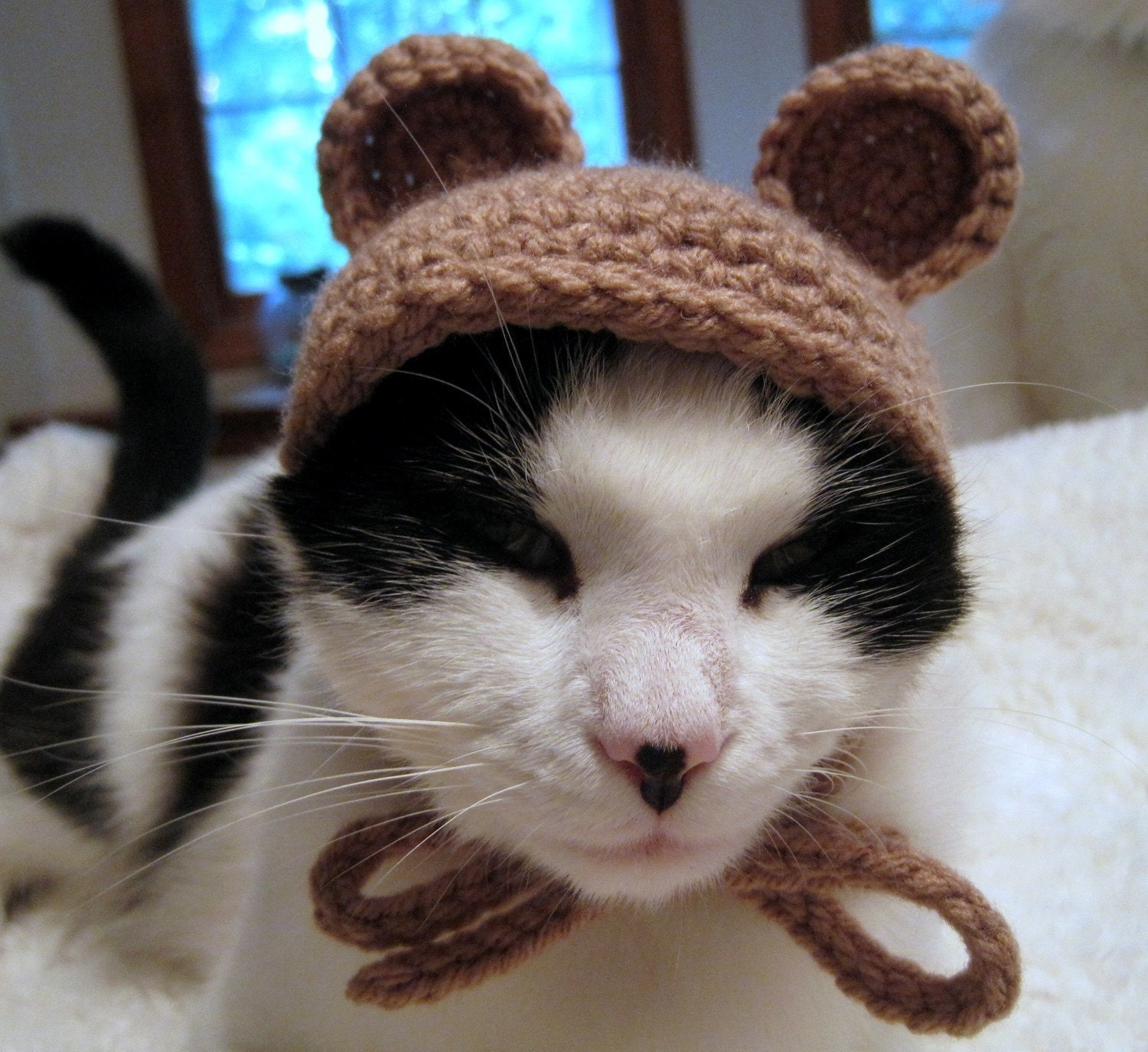 Pet Costume Pet Hat Hat for Cats Cat Clothing Pet - Etsy