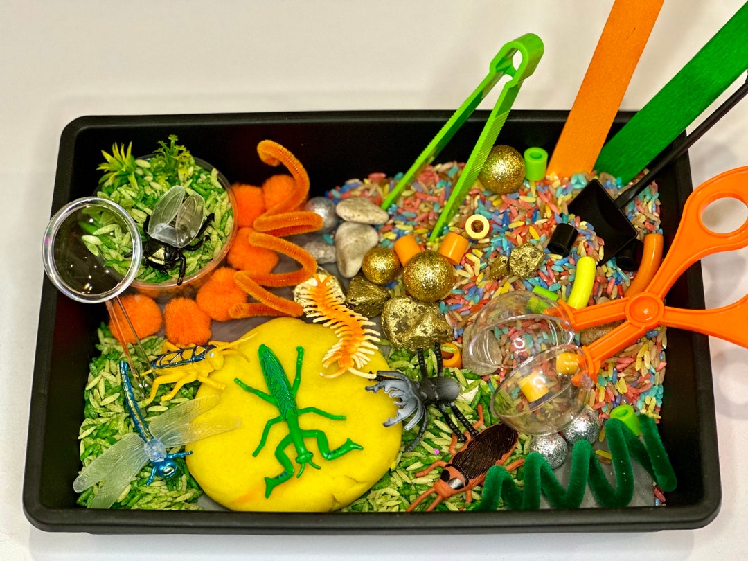Insect Sensory Bin, Bug Sensory Bin, Sensory Kit, Sensory Activity ...