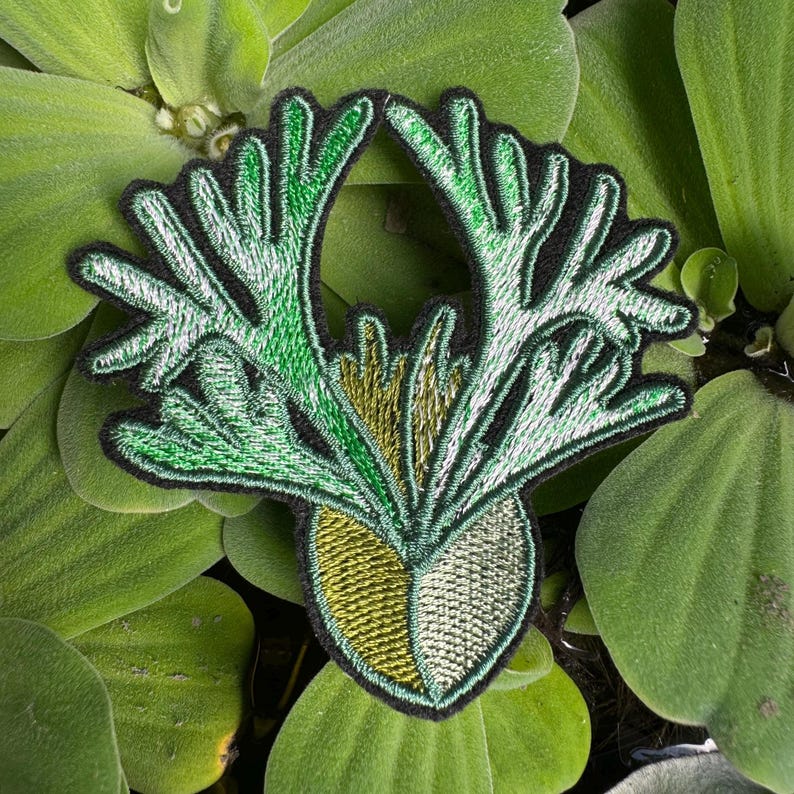 Embroidered Staghorn Fern Patch – Iron-on Botanical Appliqué - Etsy