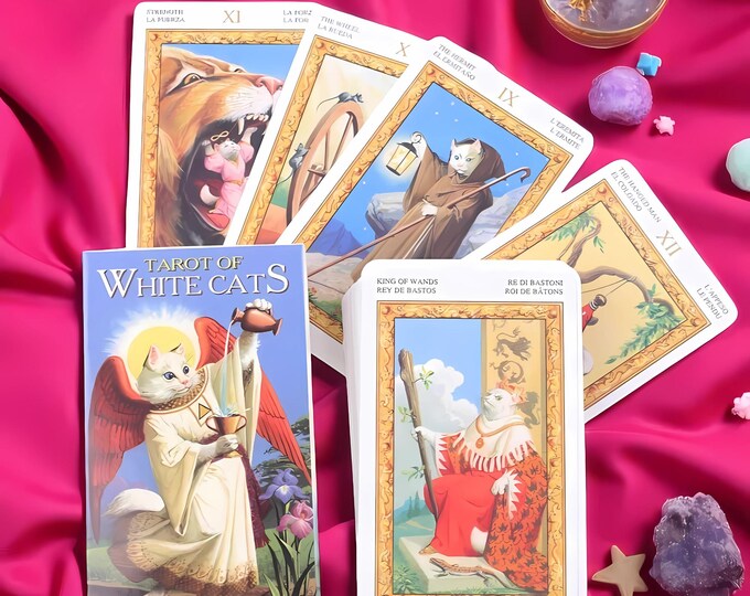 Spirit Cats Oracle Deck - Inspirational Card Deck - Indie, Tarot ...