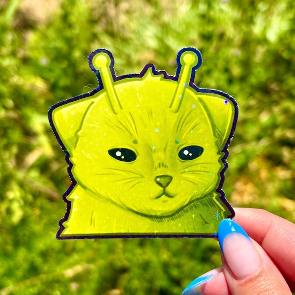 Glorp Cat - Etsy