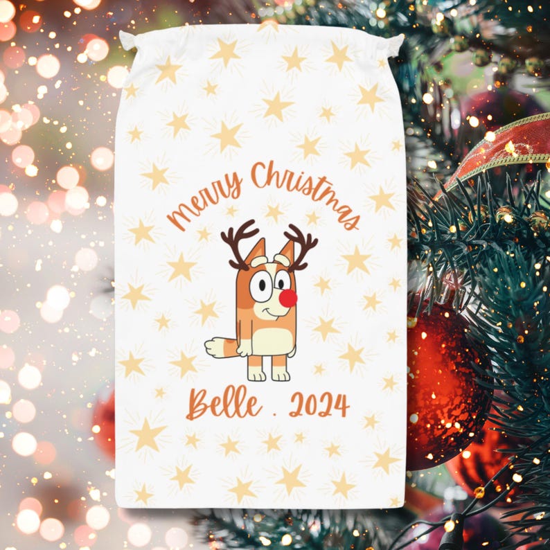 Personalized Bluey Santa Sack for Kids, Custom Holiday Christmas Gift ...