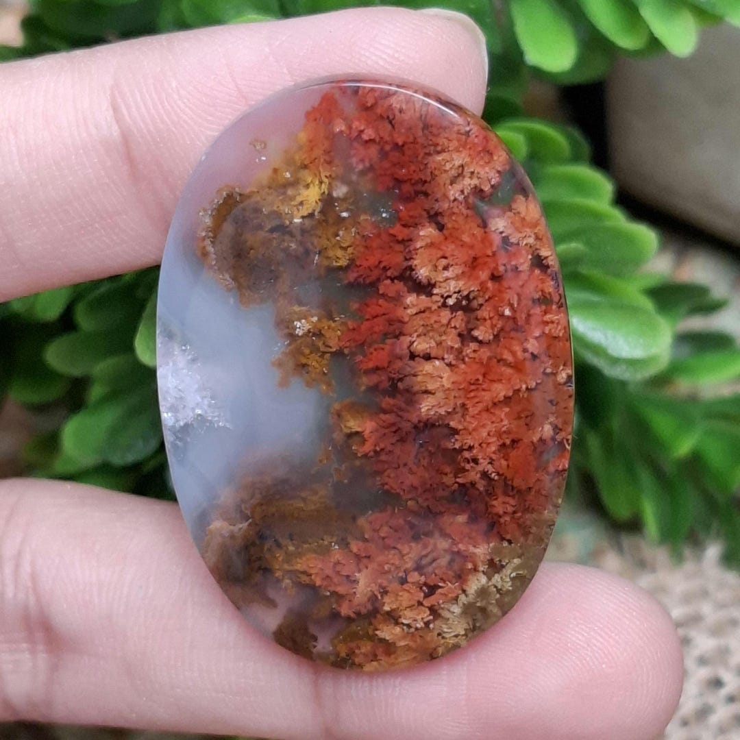 RED - MOSS AGATE Scenic || Petrified Wood || Flower Agate Size ...