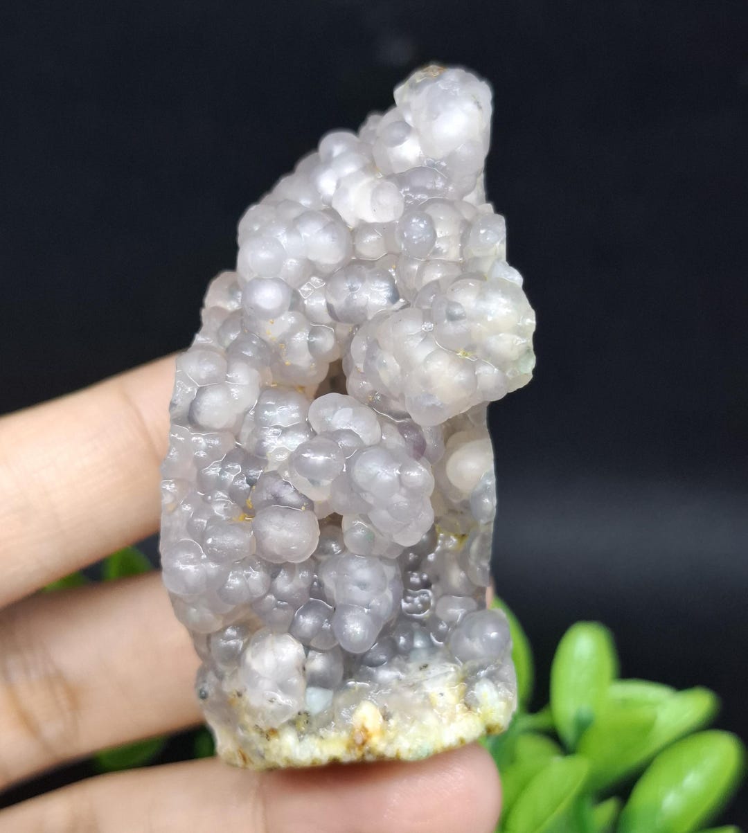 Specimens Botryoidal Chrysocolla || Size : 57x32x22 Mm || Chrysocolla ...