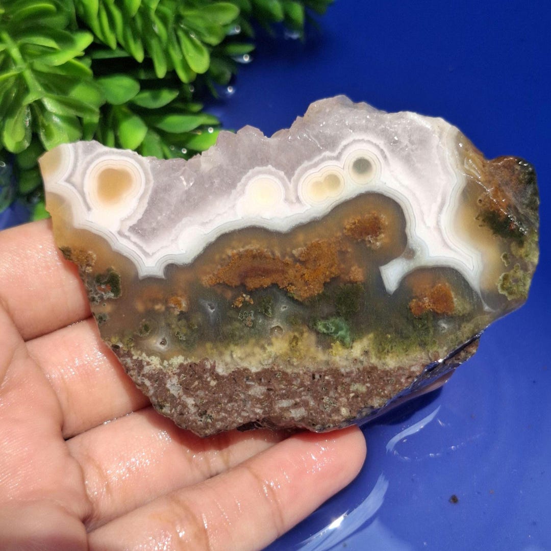 SLAB - RAW Multycolour Moss Flower Agate || Petrified Wood || Size ...