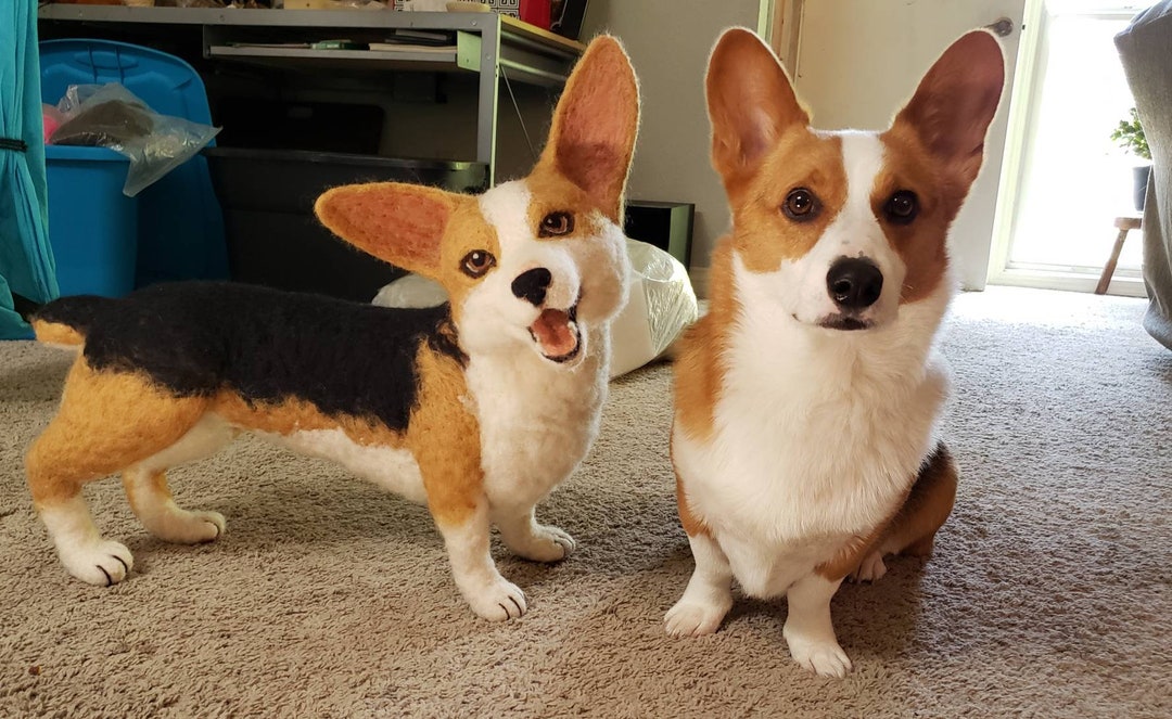 Messi the Corgi - Custom- Made Life Size Corgi Sculpture - Etsy
