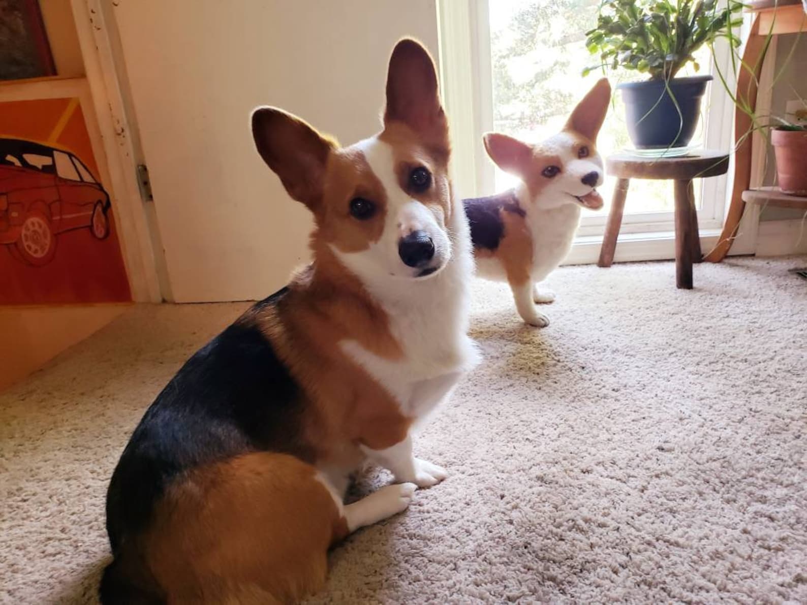 Messi the Corgi - Custom- Made Life Size Corgi Sculpture - Etsy