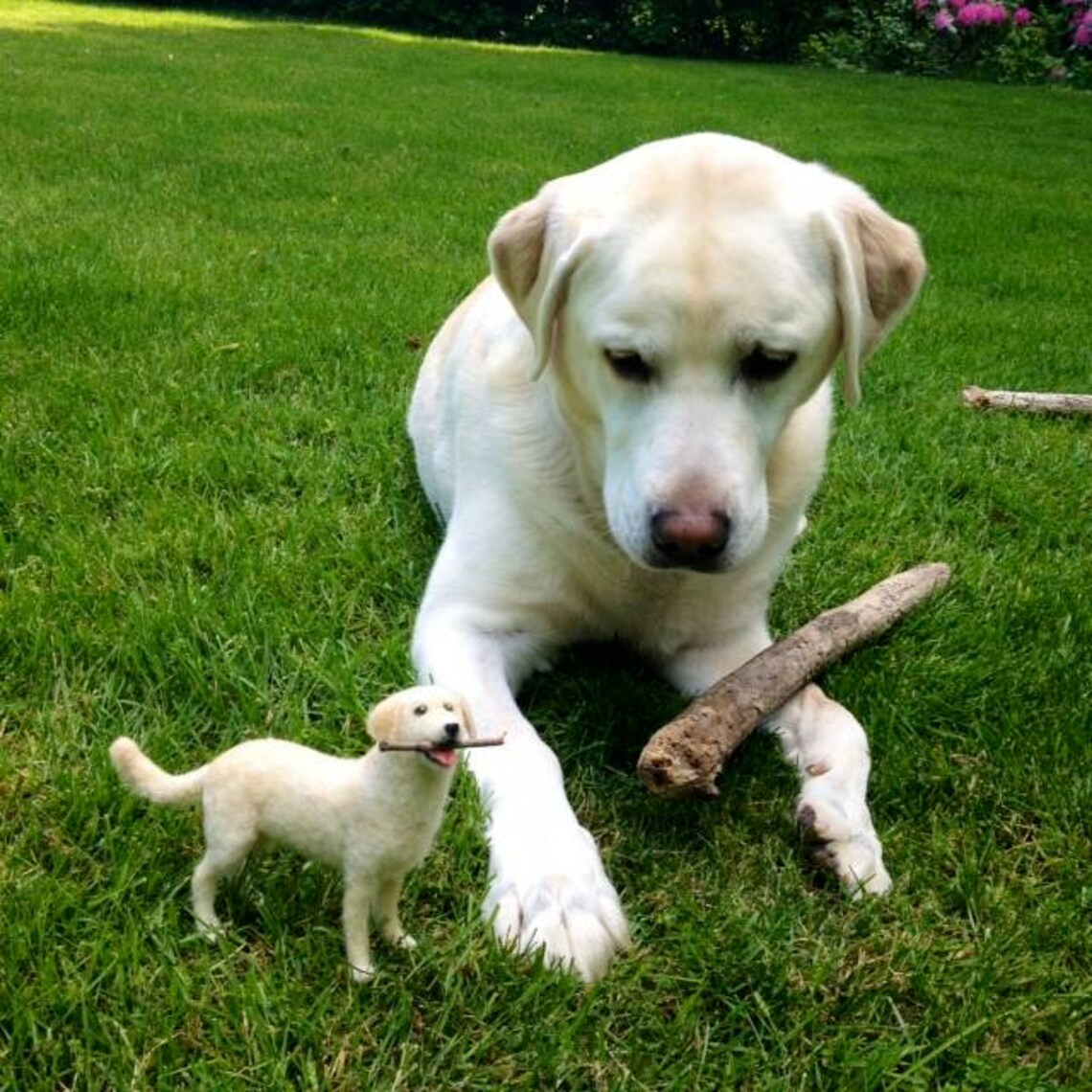 Messi the Corgi - Custom- Made Life Size Corgi Sculpture - Etsy