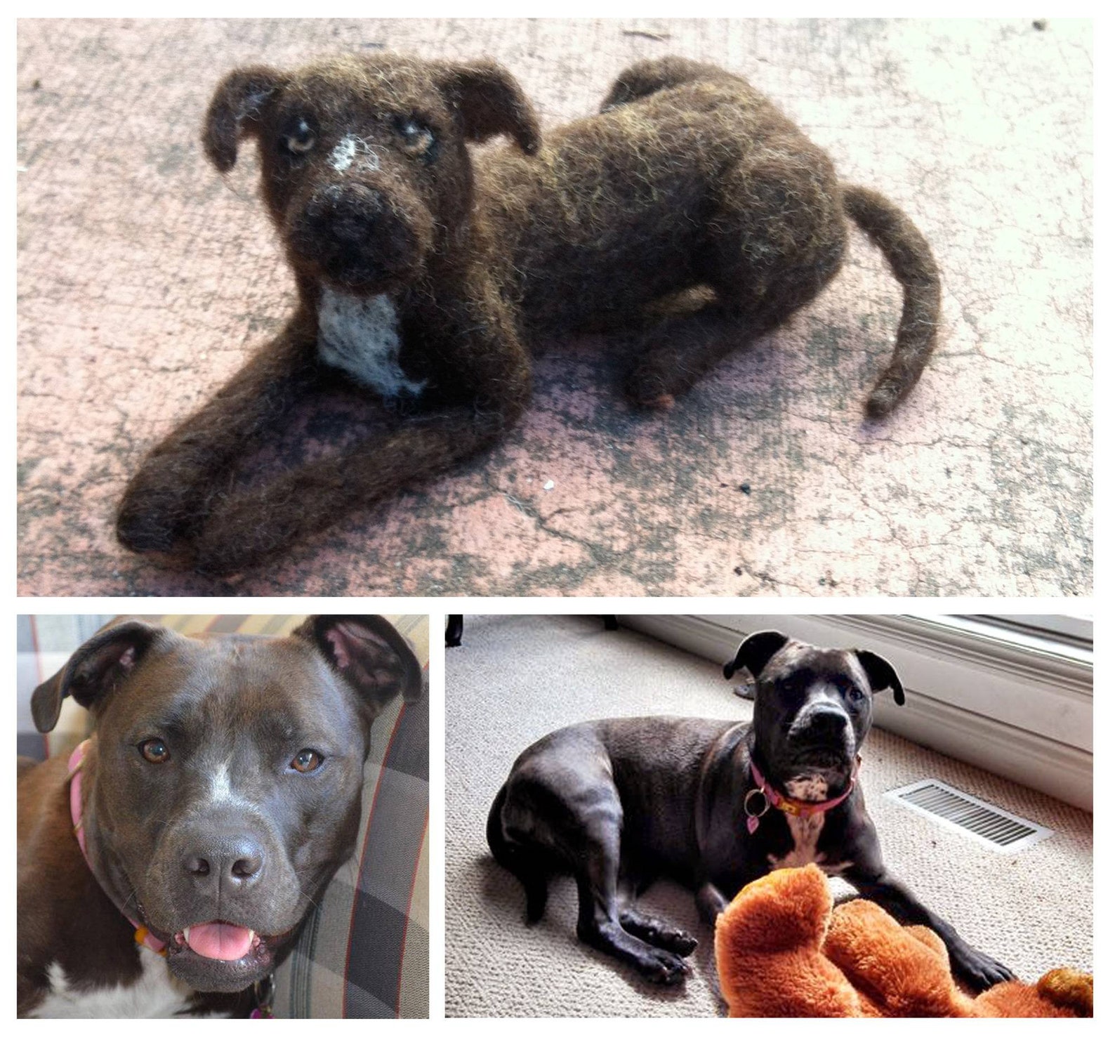 Messi the Corgi - Custom- Made Life Size Corgi Sculpture - Etsy