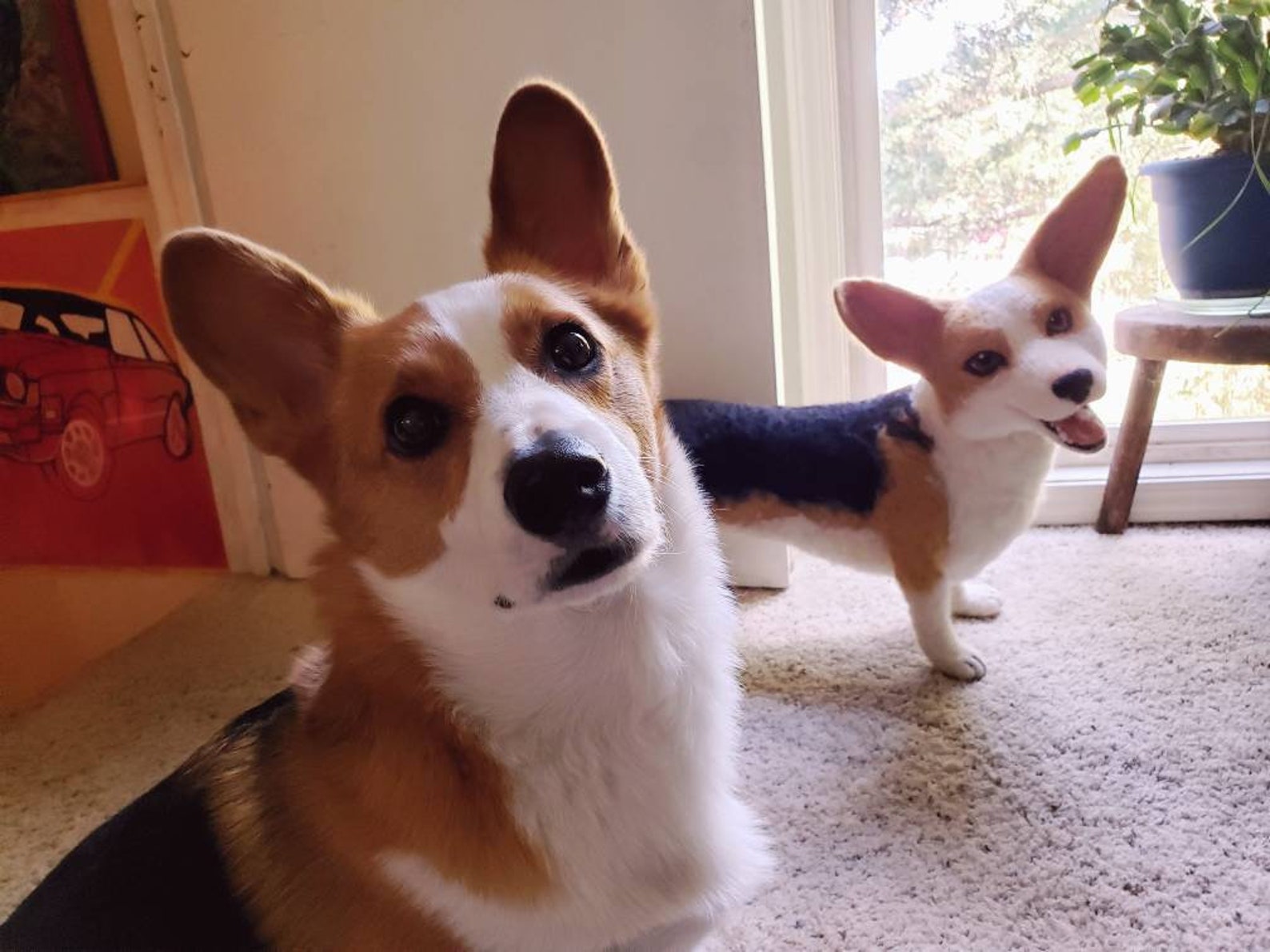 Messi the Corgi - Custom- Made Life Size Corgi Sculpture - Etsy