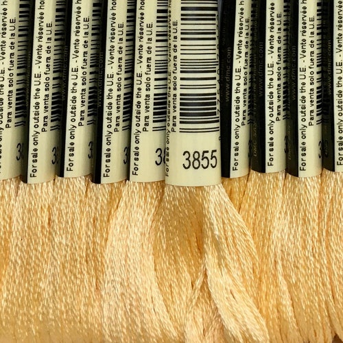 DMC 3855 Autumn Gold Light Embroidery Floss 2 Skeins 6 Strand - Etsy