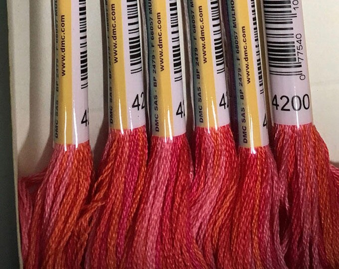 DMC 4200 Wild Fire Color Variations Embroidery Floss 1 Skein 6 | Etsy