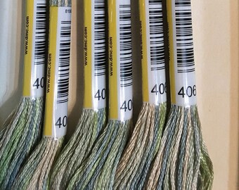 DMC 4065 Variegated Embroidery Floss Morning Meadow - Etsy