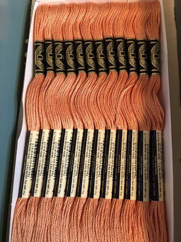 DMC 402 Very Light Mahogany Embroidery Floss 2 Skeins 6 Strand | Etsy