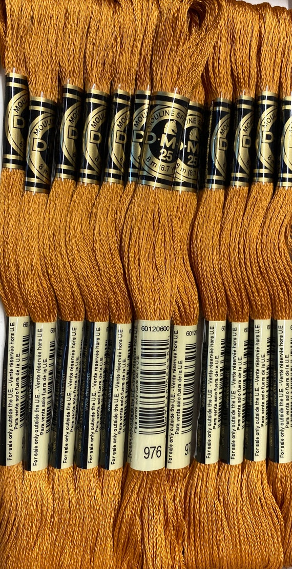 DMC 976 Medium Golden Brown Embroidery Floss 2 Skeins 6 Strand | Etsy