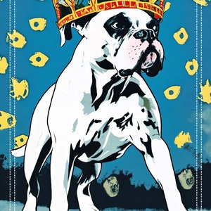 Boxer Love Tarot Cards - Etsy