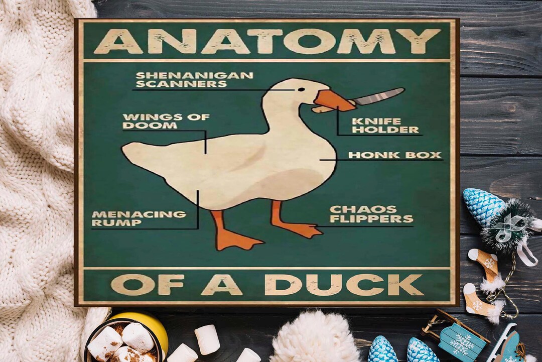 Anatomy of A Duck Retro Poster, Restaurant Cafe, Kitchen, Bathroom ...