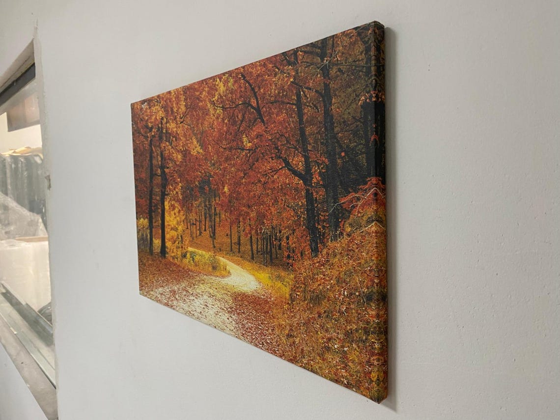 Beautiful Autumn Landscape Autumn Forest View Canvas Print Fall Scenery ...