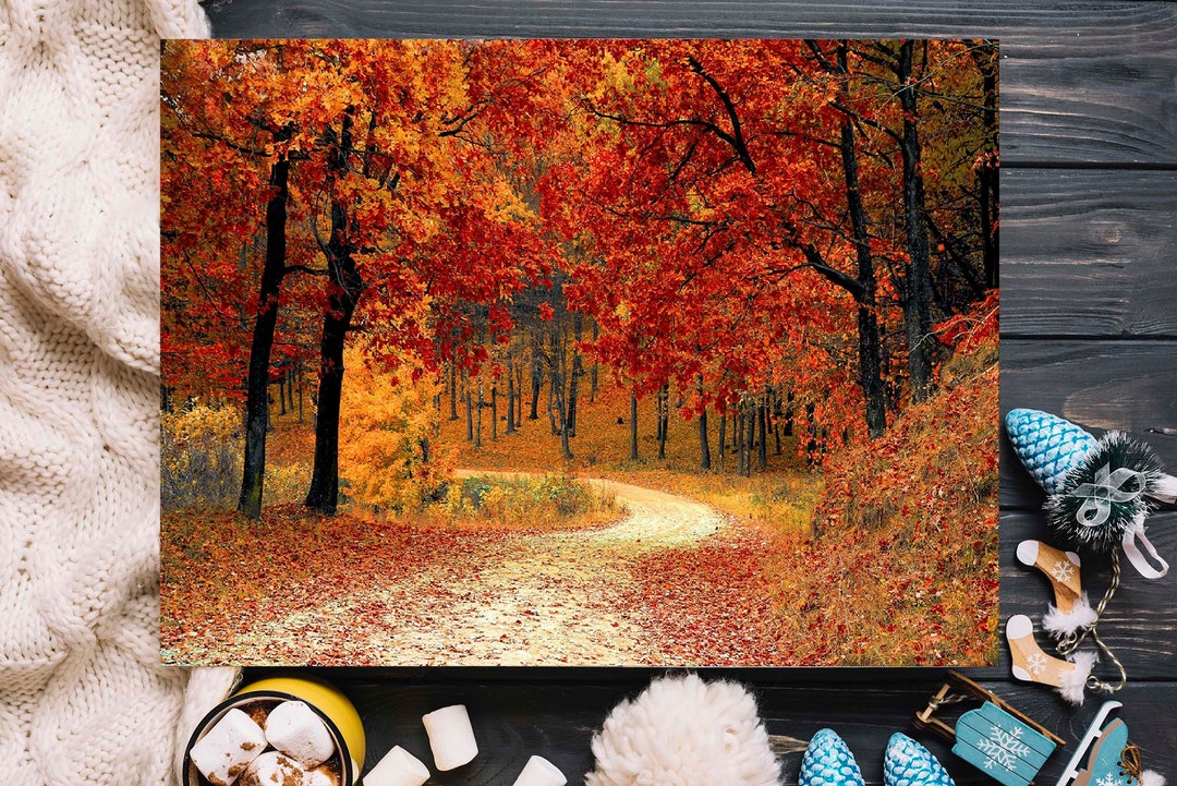 Beautiful Autumn Landscape Autumn Forest View Canvas Print Fall Scenery ...